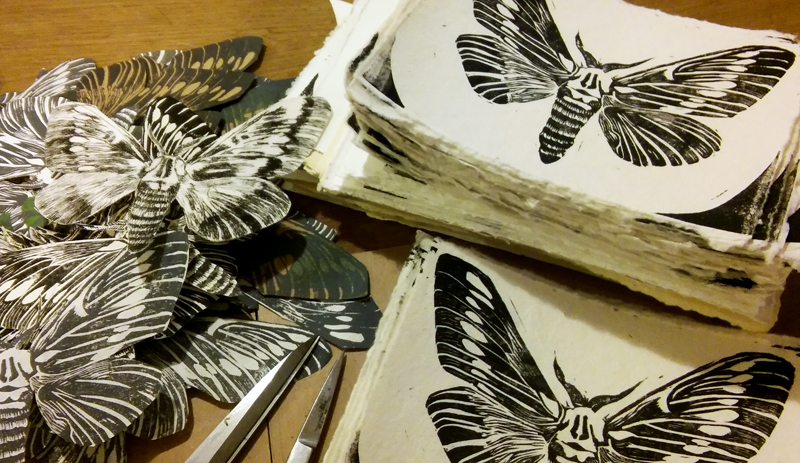 Moth Migration Important Update – Hilary Lorenz