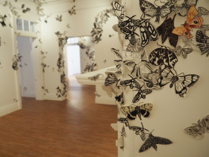 Moth Migration – Hilary Lorenz