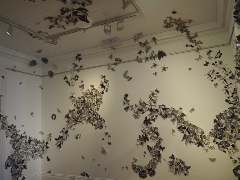 Moth Migration – Hilary Lorenz