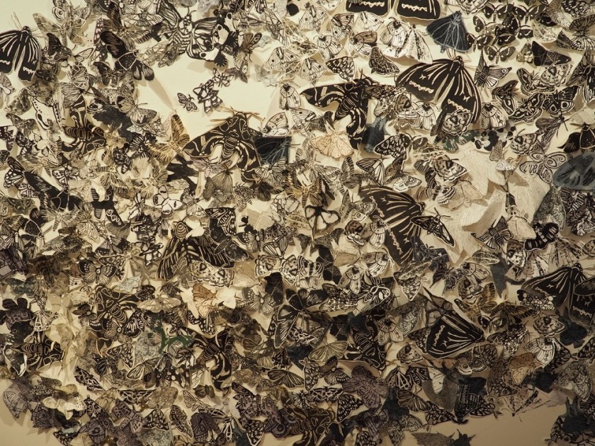 Moth Migration – Hilary Lorenz